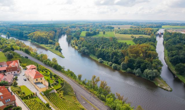 Economía social y confluencias