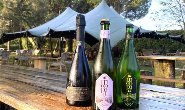 Mooma, l'amor per la poma de la primera sidra catalana