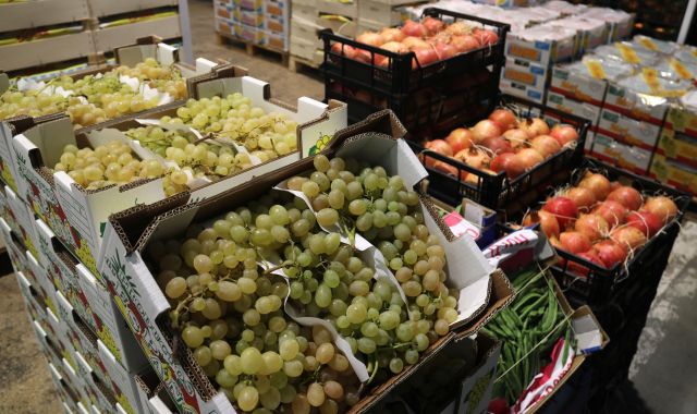 La empresa Enkitek robotiza la recolección de frutas y hortalizas en agricultura sin suelo